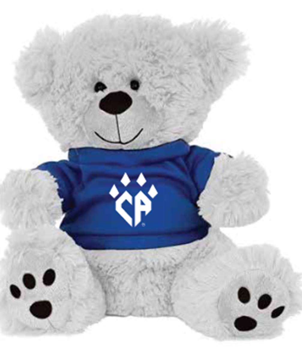 Teddy Bear – Cheer Athletics Pro Shop